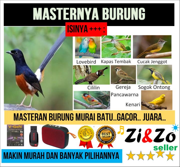 Masteran Burung Murai Batu Lengkap | Lazada Indonesia
