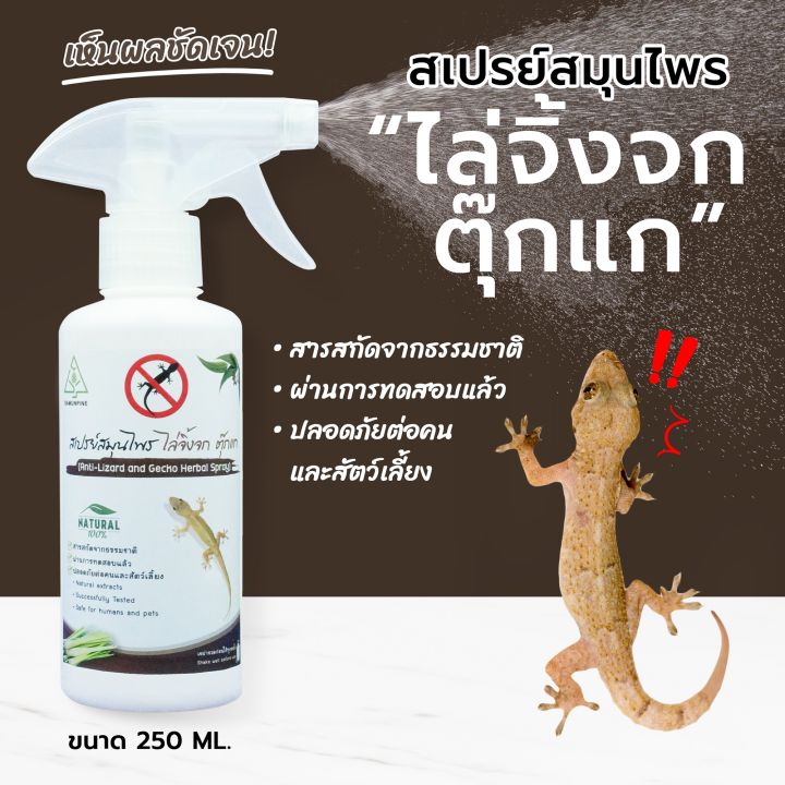 ไล่จิ้งจก ตุ๊กแก SAMUNPINE สเปรย์สมุนไพรไล่จิ้งจก ตุ๊กแก ขนาด 250 ml ...