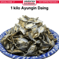 1KG Wholesale All Dried Fish Express Products Pusit, Tuyo, Daing 1kg ...