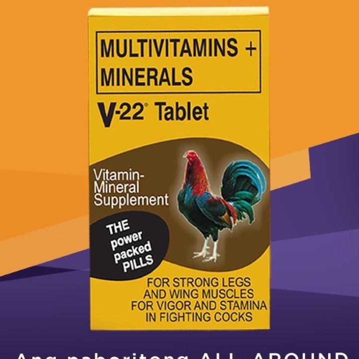 V-22 Tablet 100s | Lazada PH