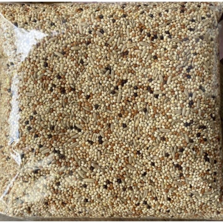 NICE Canary Bird Seed Mix 1kg repacked | Lazada PH