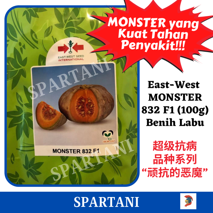 Benih Labu Madu Manis Raksasa Hybrid / Labu Monster / Sweet Pumpkin ...