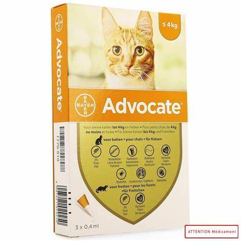 Elanco Advocate Cat (1-4kg and 4-8kg) | Lazada
