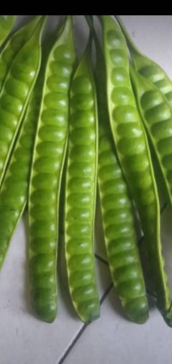 PETE SUPER dan fresh satu ikat isi 9 lonjor | Lazada Indonesia