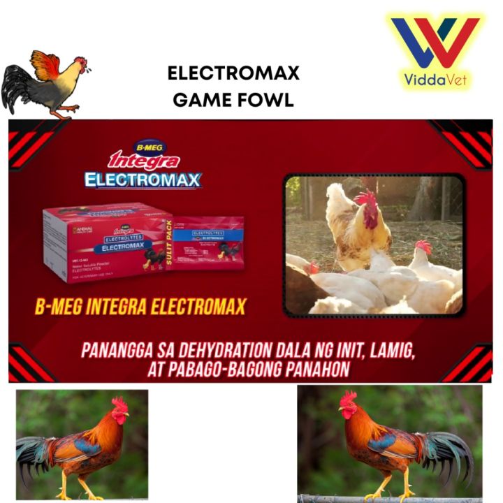 1 box ELECTROMAX (ELECTROLYTES) INTEGRA B-MEG for game fowl 6grams x24 ...