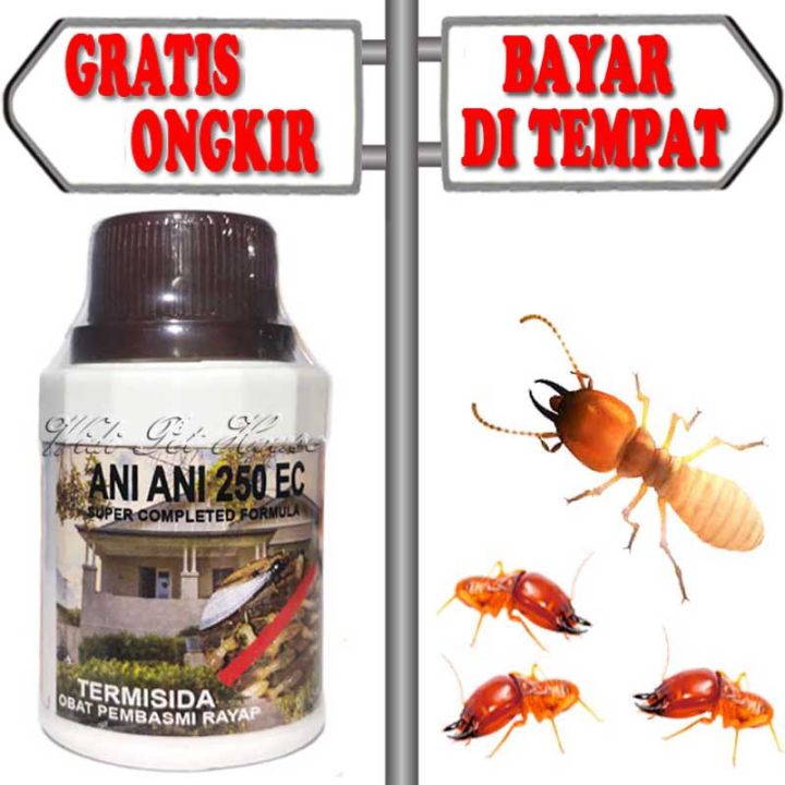 PEMBASMI RAYAP TERMISIDA RACUN SERANGGA JENDELA PINTU RUMAH KAYU ...