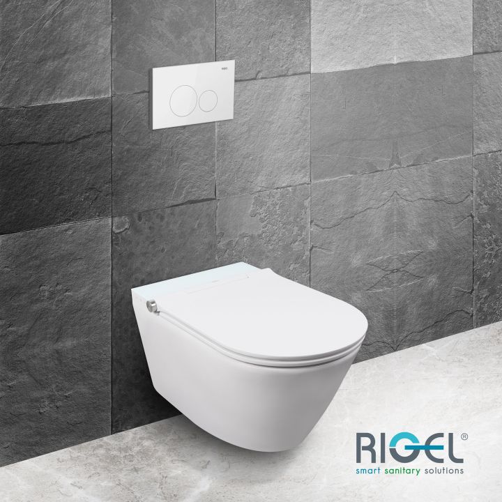 RIGEL Gallant Smart Wall Hung Toilet Bowl complete with concealed ...