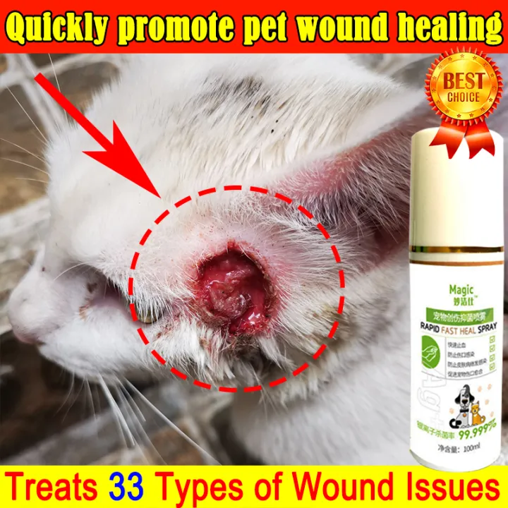 100ml Pet Wound Spray Pet Antibacterial Spray for Skin Wound Repair ...