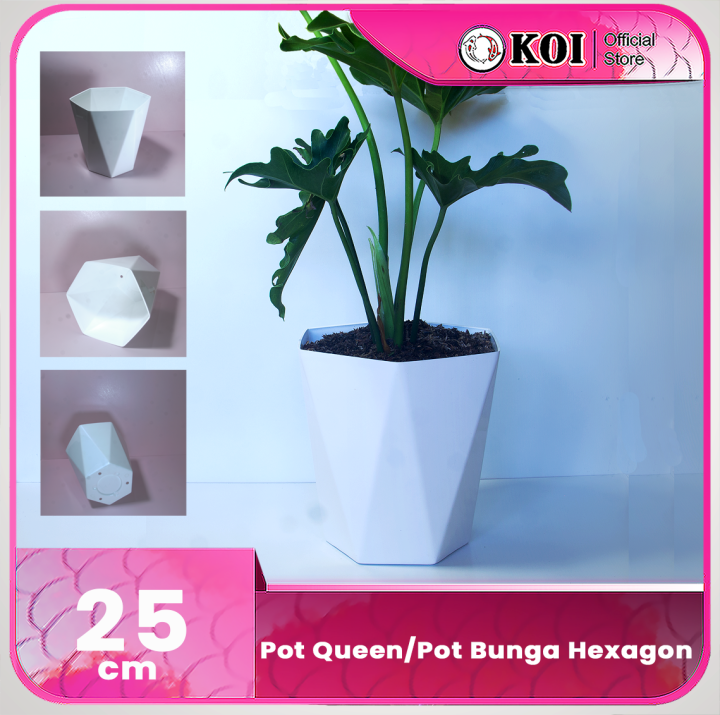 Pot Queen/Pot Bunga Plastik Hexagon Unik Pot Tanaman Indoor dan Outdoor ...