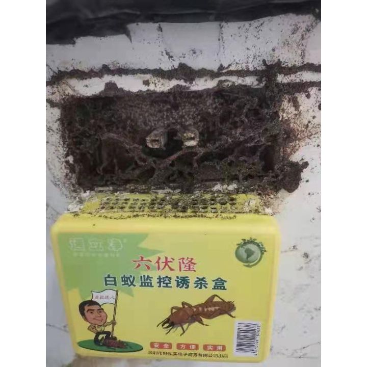 Termite bait station Original Termites DIY Colony Elimination Baiting ...