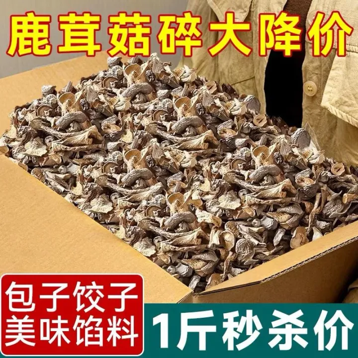 【无干燥剂净重】鹿茸菇碎片500g 包子饺子馅料新鲜鹿茸菌煲汤50g[Net Weight Without Desiccant] Deer ...