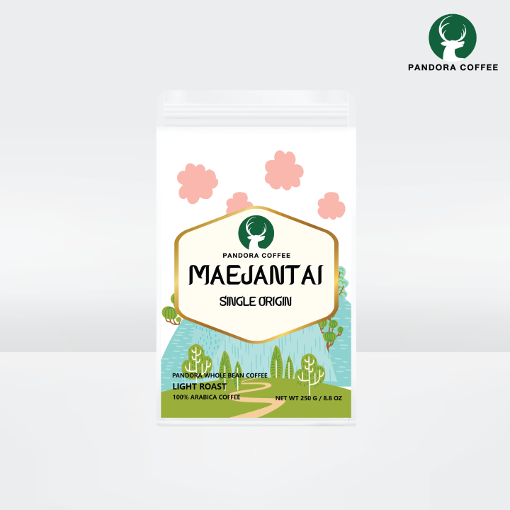 Pandora Coffee เมล็ดกาแฟแม่จันใต้ Maejantai คั่วอ่อน Light Roast เกรด ...