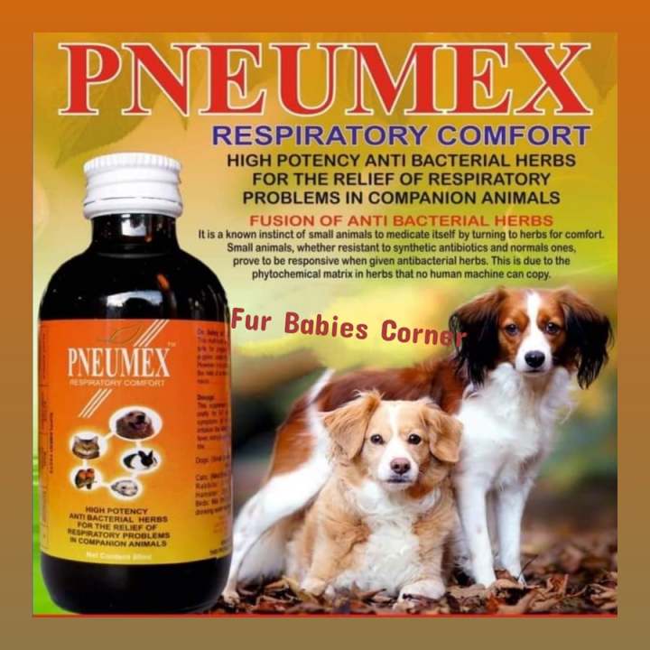 Pneumex For Cough And Colds Of Pets (60mL) (With 3mL Syringe) | Lazada PH