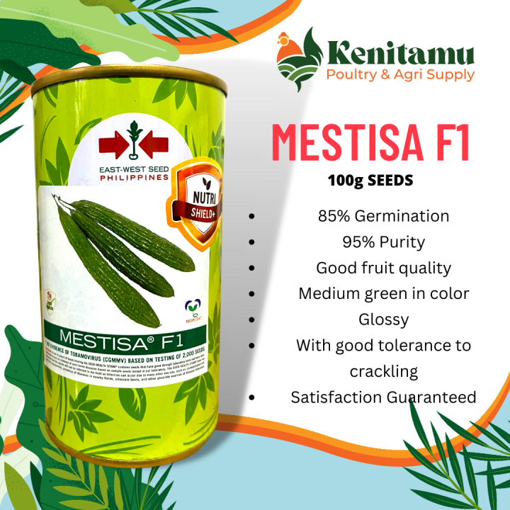 MESTISA F1 100g SEEDS BY: EASTWEST SEED | Lazada PH