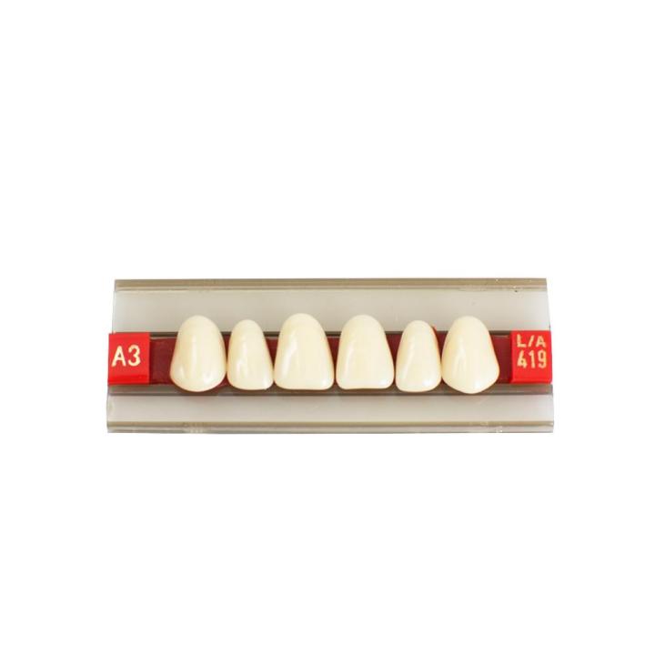Acrylic Resin Denture Dental Teeth Shade G419 A3 | Lazada PH