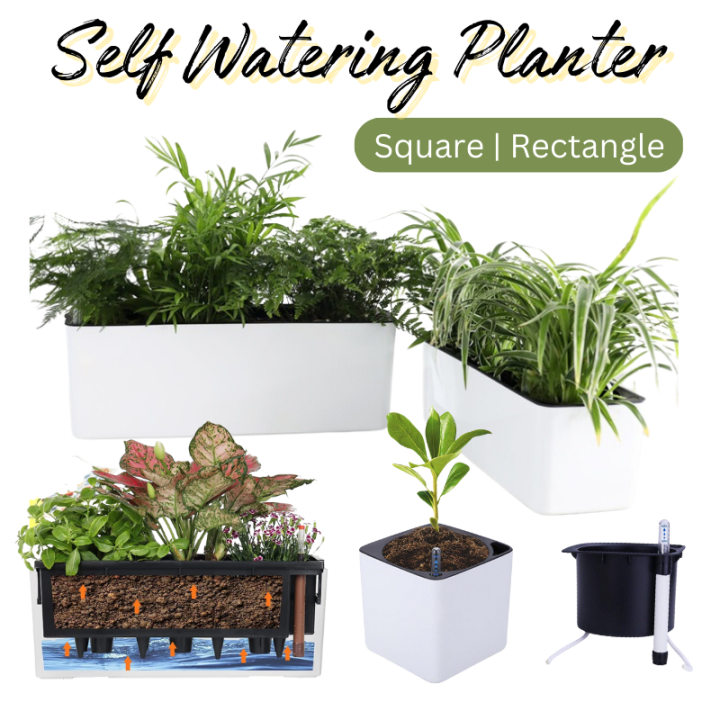 [SG] Imp House Self Watering Planter with Water Level Indicator Square ...