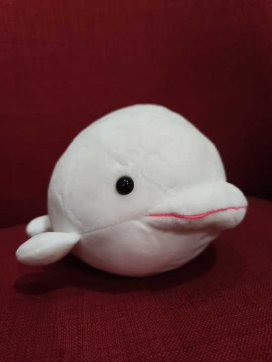 Boneka Ikan Paus Beluga Whale Putih White Lucu | Lazada Indonesia