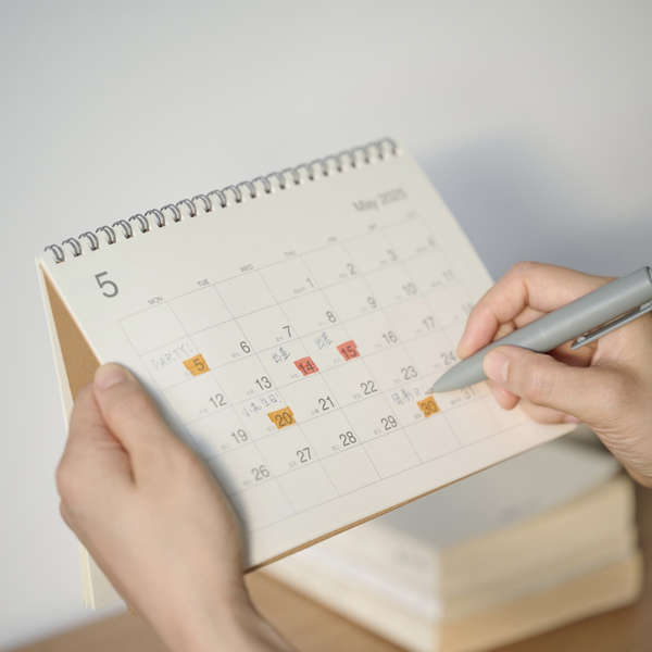 in stock MUJI Desktop Calendar 2025 New Year Calendar Plan Schedule ...