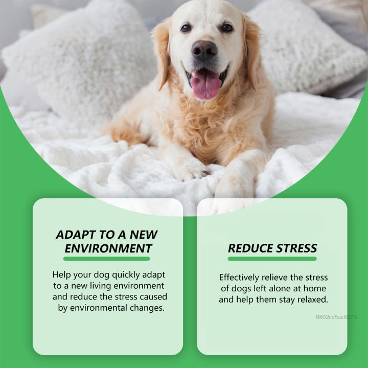 Dog Stress and Anxiety Relief Calming Diffuser Emotionally Soothing ...