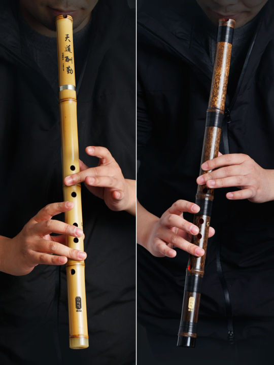 A beginner's introduction to the professional performance of short Xiao ...