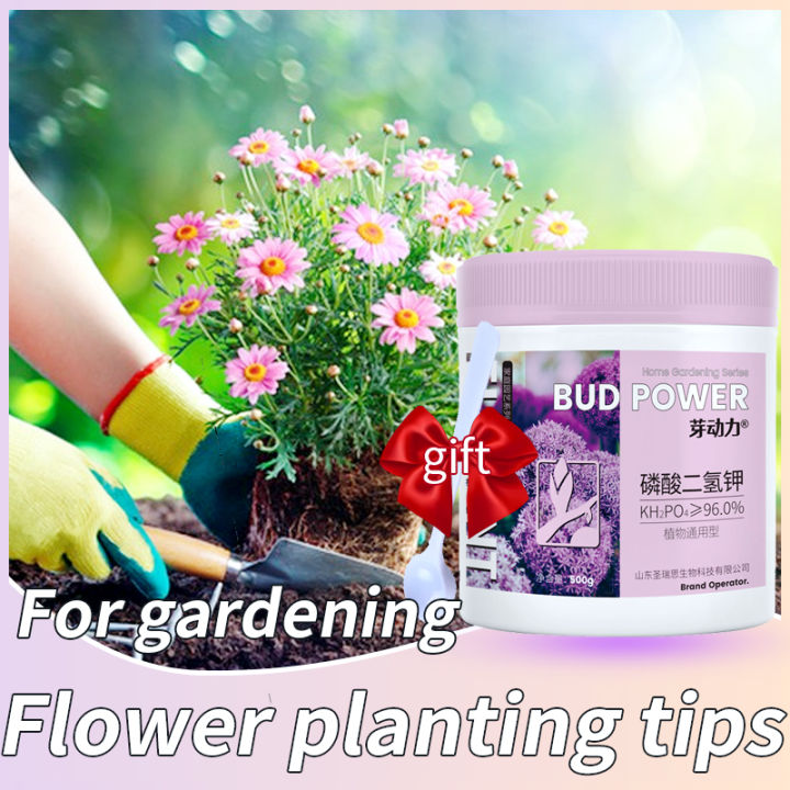 fertilizer for flowering plant 500g flower booster fertilizer | Lazada PH