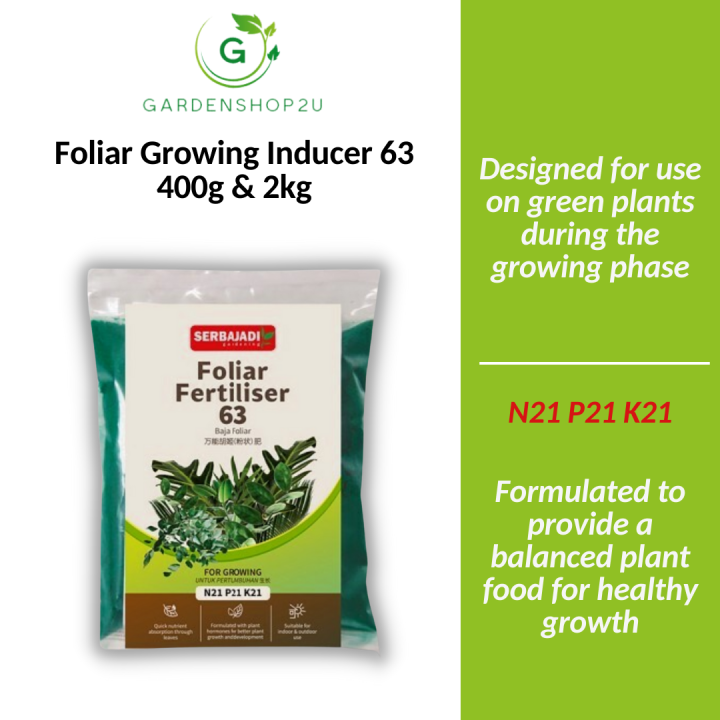 Foliar Fertiliser 63 - for Growing | Foliar Growing Inducer | N21 P21 ...