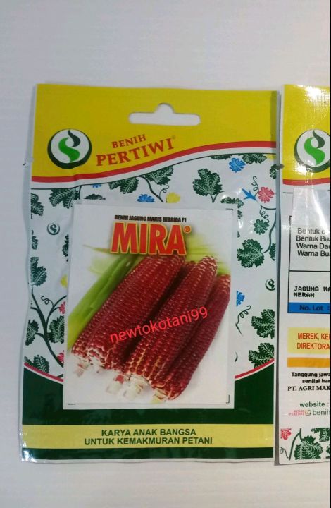 Benih jagung merah manis MIRA F1 smallpack biji jagung manis merah ...