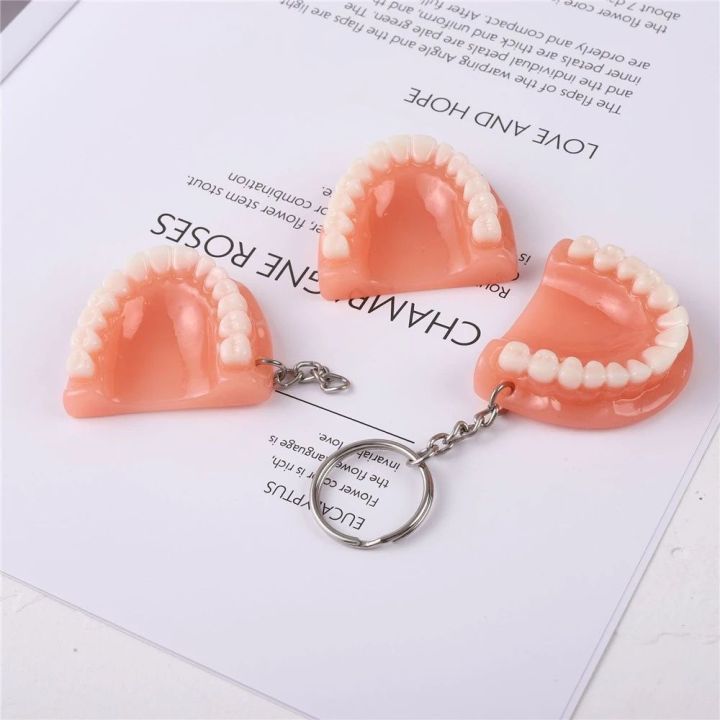 RD5BA7 Dental Accessories Dental Gift Resin Teeth Shape Upper Jaw Teeth ...