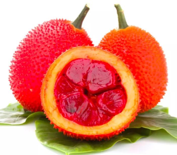 gac fruit plant seed {Momordica cochinchinensis}exotic | Lazada