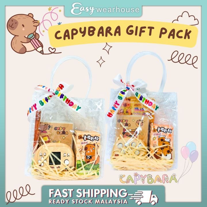 Capybara Goodies Gift Pack Student Rewards Birthday Children Day Door ...