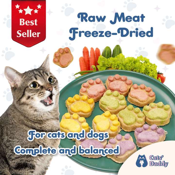 WP Freeze Dried Cat Snack Cat Treats Raw Meat Pet Snack Makanan Kucing ...