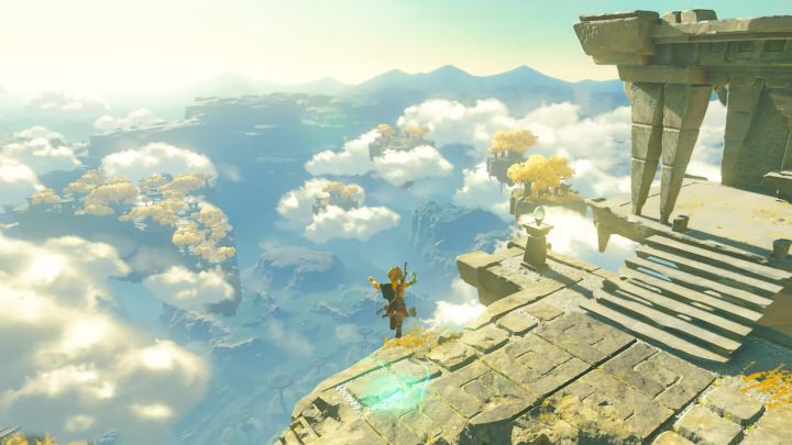 Nintendo Switch second-hand game cassette NS Tears of the Kingdom of ...