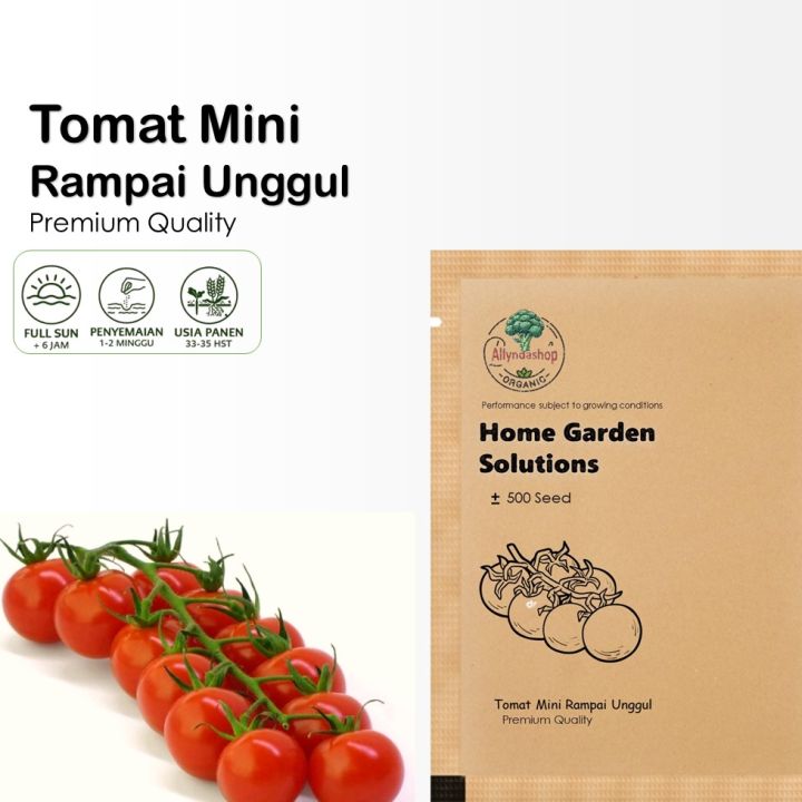 250 Biji - Bibit Benih Sayuran Tomat Mini Rampai Unggul | Lazada Indonesia