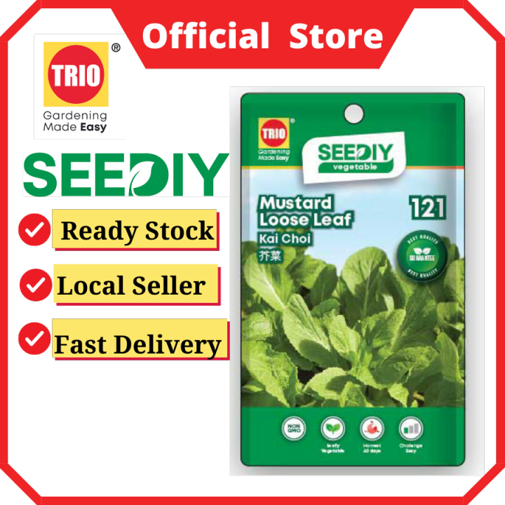 TRIO SEEDIY Mustard Loose Leaf 芥菜 Kai Choi 121 veggie seeds | Lazada