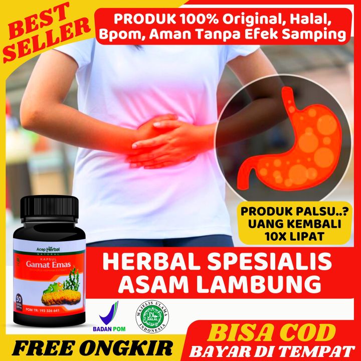 Kapsul Gamat Emas 100% Original Isi 50 Kapsul - Obat Herbal Asam ...
