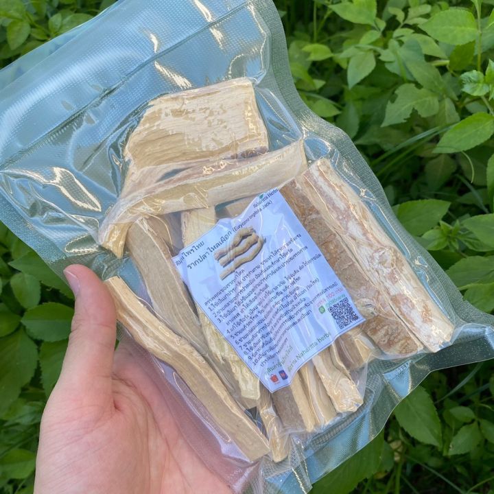 รากปลาไหลเผือก Tonkat Ali ขนาด 1 กิโลกรัม ตากแห้งและอบไล่ความชื้น คัด ...