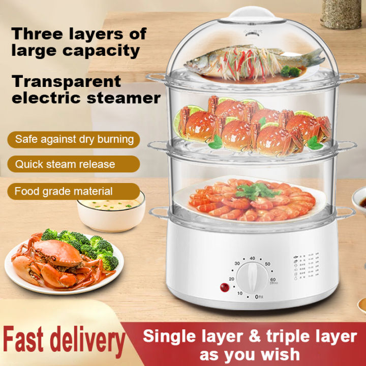 Electric steamer, multi-function electric steamer, multi-function ...