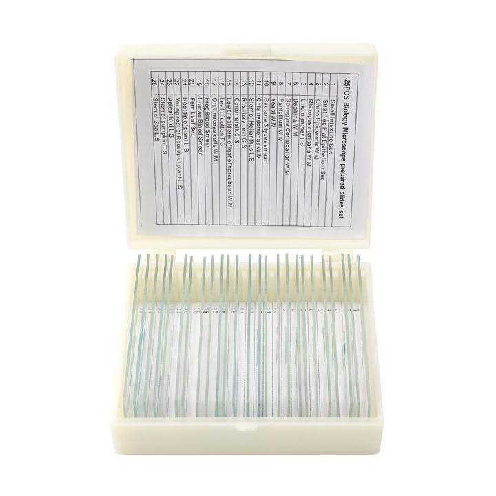 25PCS/Set Biological Glass Sample Prepared Basic Animal Plants Insects ...