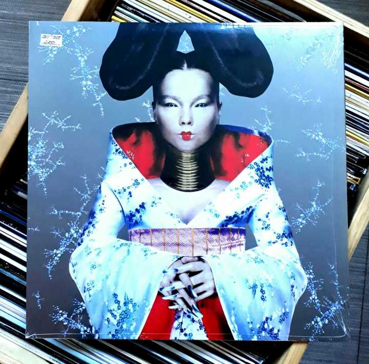 Bjork – Homogenic | Vinyl LP Plaka The Grey Market Records | Lazada PH