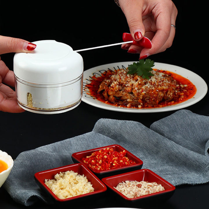 Mini Food Chopper Grinder Onion Ginger Masher Shredder Vegetable Hand ...