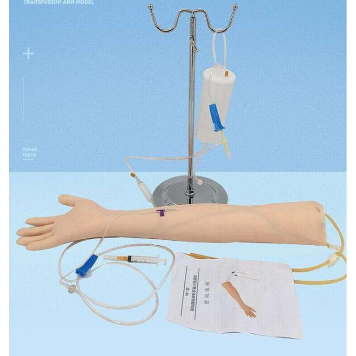 Life Size Anatomical Phlebotomy Venipuncture Practice Arm ...
