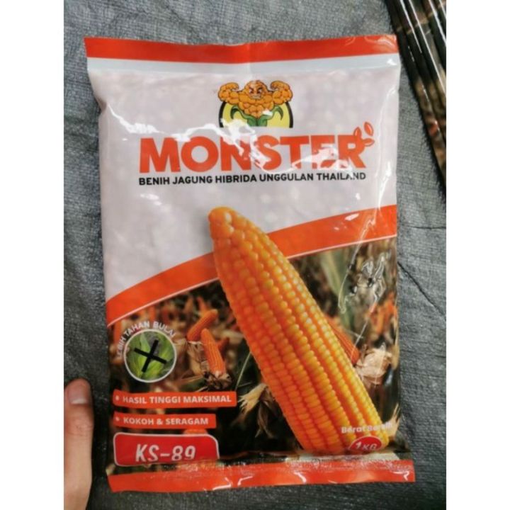 BENIH JAGUNG KS-89 MONSTER F1 - Bibit jagung | Lazada Indonesia
