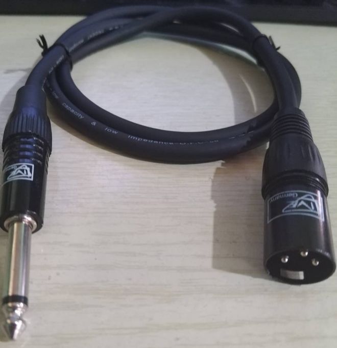 LIVE XLR male to PL-55 mono 6.35MM 1meter cord PREMUIM QUALITY | Lazada PH