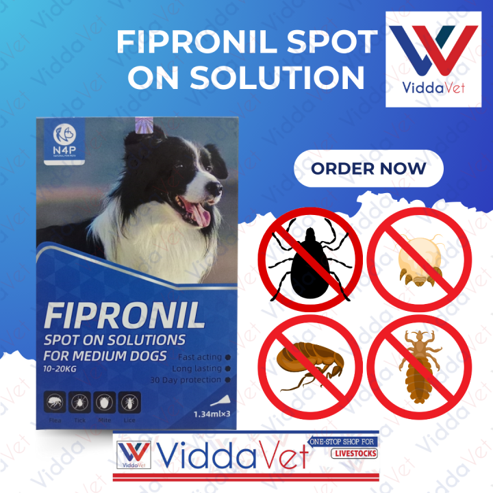 VIDDAPET N4P FIPRONIL SPOT ON SOLUTIONS FOR MEDIUM DOGS 10 TO 20KG ...