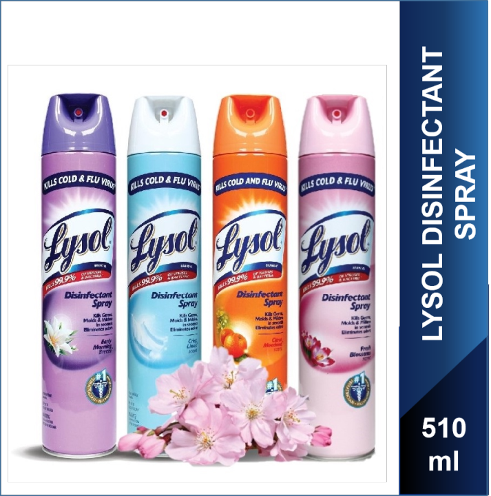 Lysol Disinfectant Spray Eliminates Odors, 340ml / 510g / 538g ...
