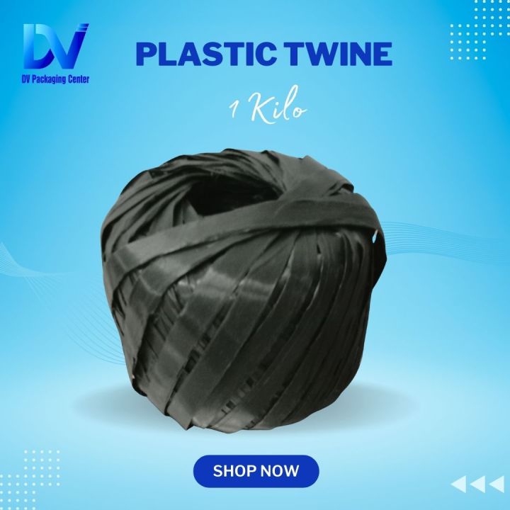 Plastic Twine / Tali - 1 kilo | Lazada PH