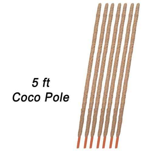 11.11 LOWEST PRICE SALE 5ft Best Hand made Coco Pole Plant Support ...