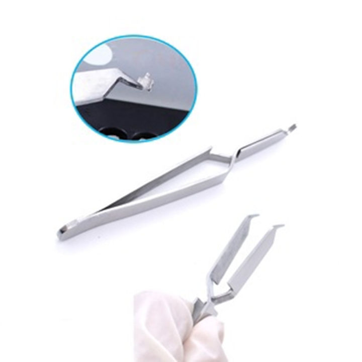1PCS Dental Posterior Brackets Holder Forcep Placer Dental Tool | Lazada PH