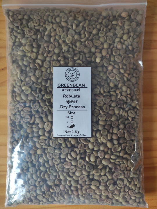 สารกาแฟโรบัสต้าชุมพร Size18(XL) 1 กิโลกรัม Dry Process | Lazada.co.th