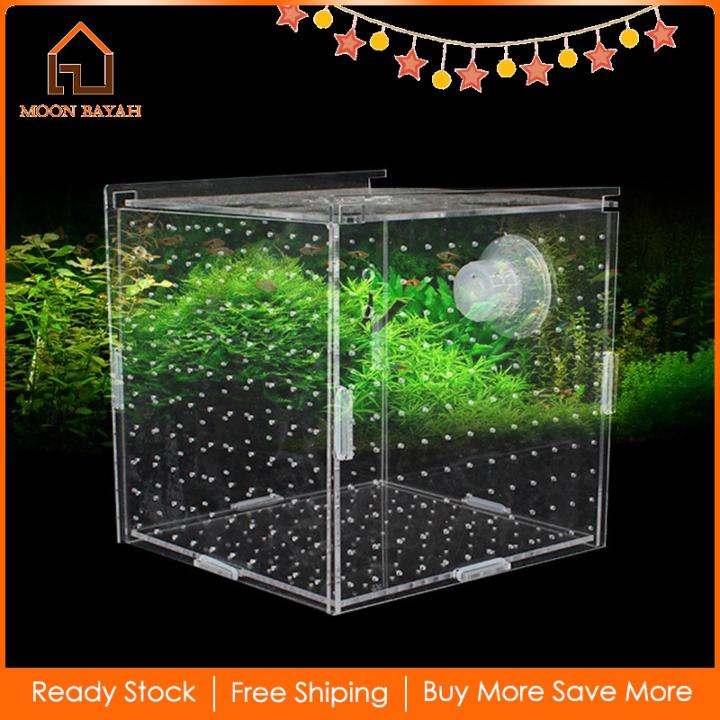 Moon BAYAH Clear Acrylic Fish Breeder Box for Guppy Fry 8cmx8cmx8cm ...